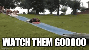 Watch them go - Imgflip