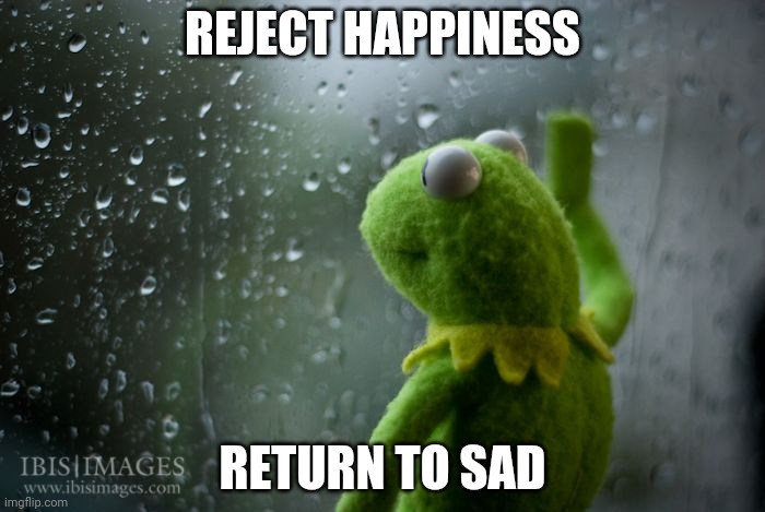 kermit window - Imgflip