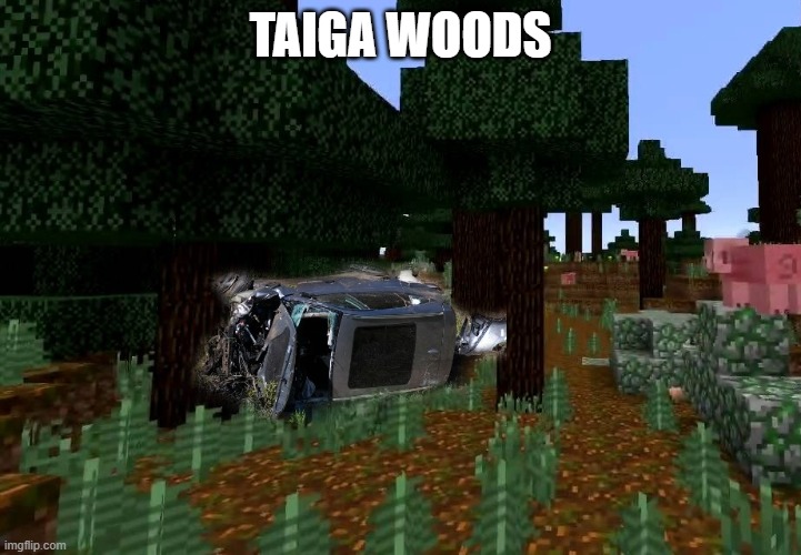 taiga woods - Imgflip
