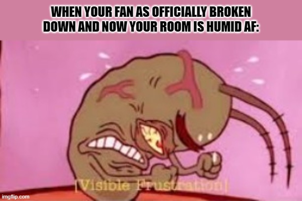 Visible Frustration - Imgflip