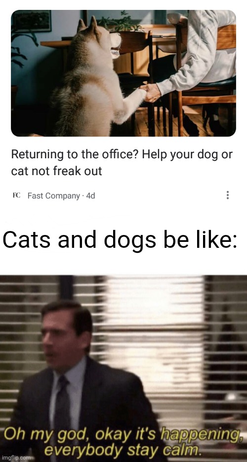 Office Freak Out Meme