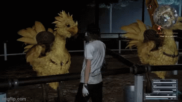 Chocobo hugs are the cutest! ️ - Imgflip