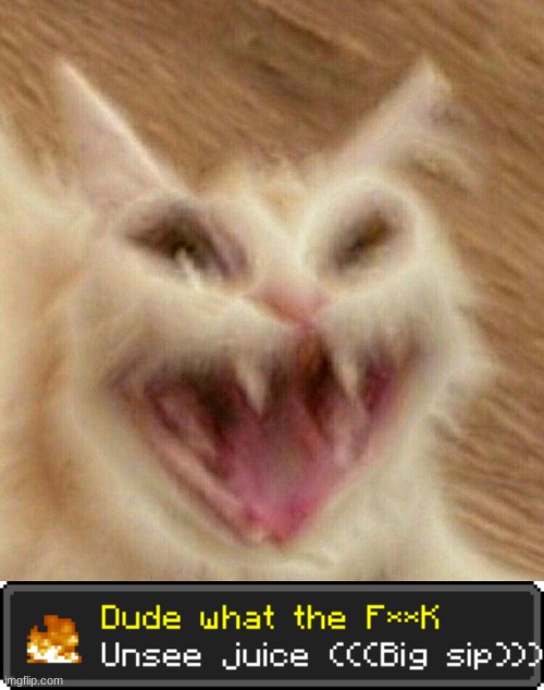 What the- - Imgflip