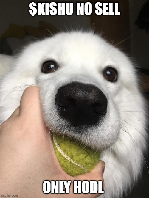 no take only throw - Imgflip