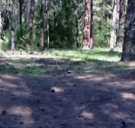 COKE EXPLOSION - Imgflip