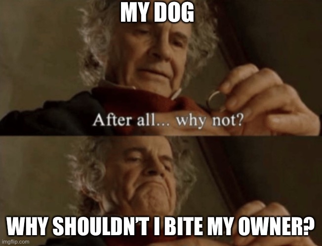 After all.. why not? - Imgflip