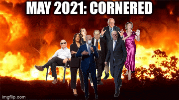May 2021 Now The Democrat Party Is 100 Cornered Imgflip