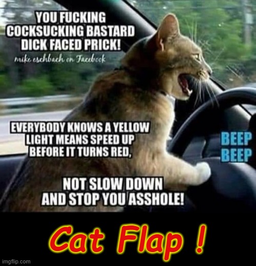 Cat Flap ! - Imgflip