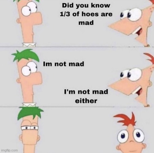 Hoes Mad Imgflip