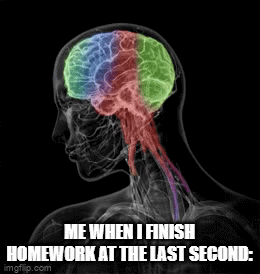 My brain when I do homework last second: - Imgflip