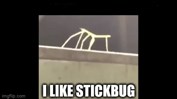 I like stickbug :D - Imgflip