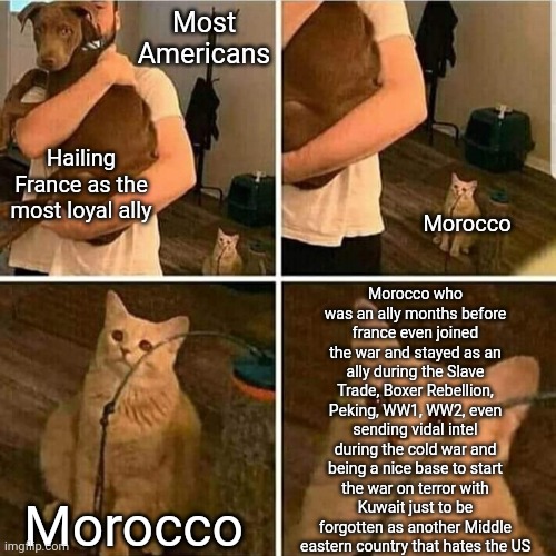 Sad Cat Holding Dog - Imgflip