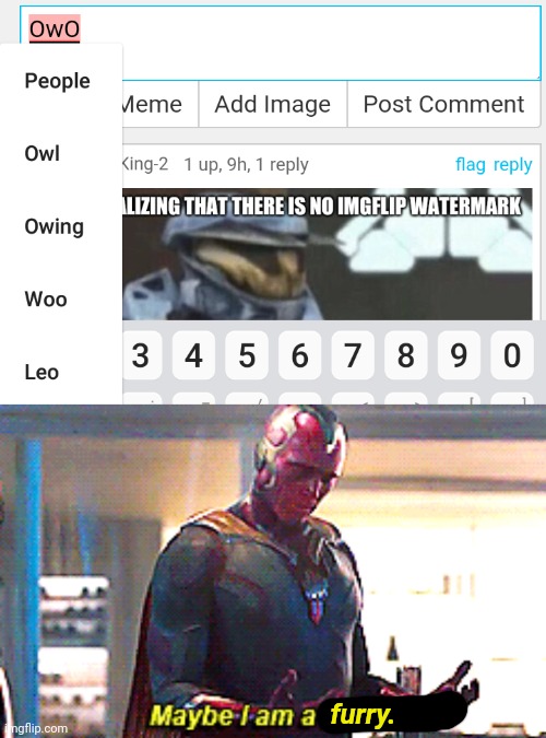  Imgflip