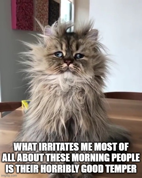 Monday Mornings - Imgflip