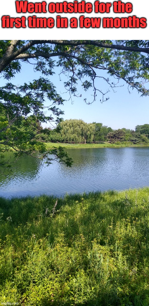 Nearly died but whatever - Imgflip