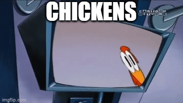 chickens - Imgflip
