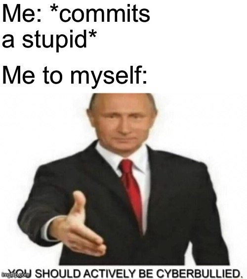 The stupid thing in this meme was the fact I came up with “commits a ...