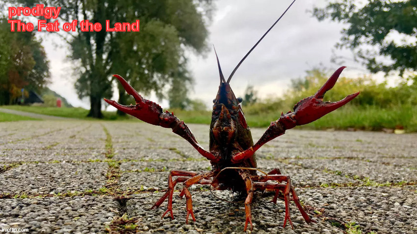 FARK.com: (11511151) Why do crayfish hide under rocks? Apparently they ...