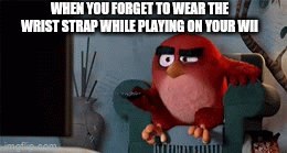 Remember guys, ALWAYS use the wrist strap if you're going to play on ...