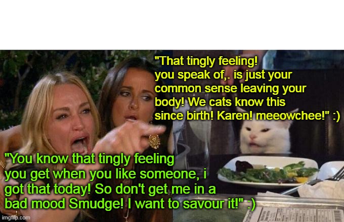 Woman Yelling At Cat Meme - Imgflip