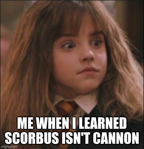 the face you make when someone says they hate harry potter - Imgflip