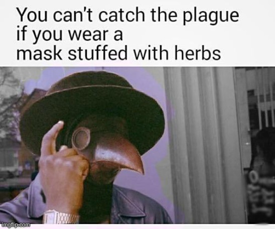 Le Plague memes are back - Imgflip