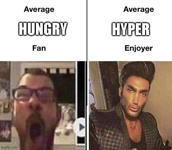 Average Fan vs. Average Enjoyer - Imgflip
