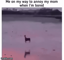 Front Page Hopefully? - Imgflip