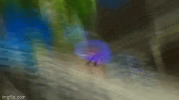 When You Dog Escapes From The Leash: - Imgflip