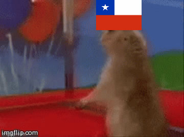 Surprised chipmunk - Imgflip