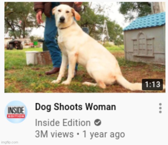 another reason why i hate dogs - Imgflip