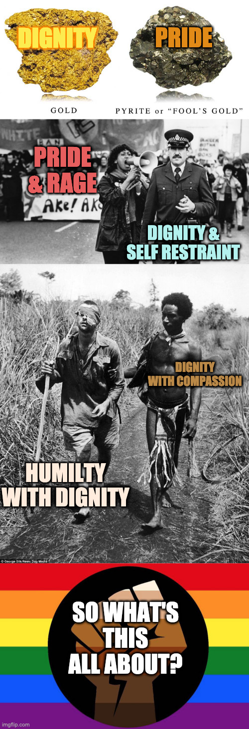 Dignity or Pride? - Imgflip
