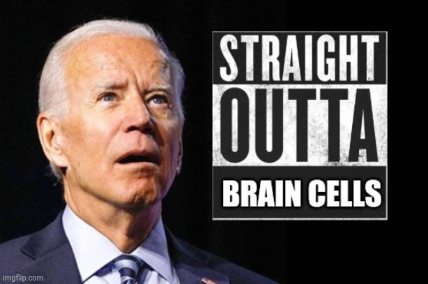 Brain cells matter. - Imgflip