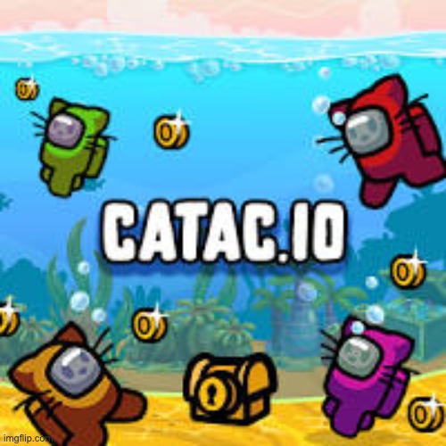 when the cat is sus - Imgflip