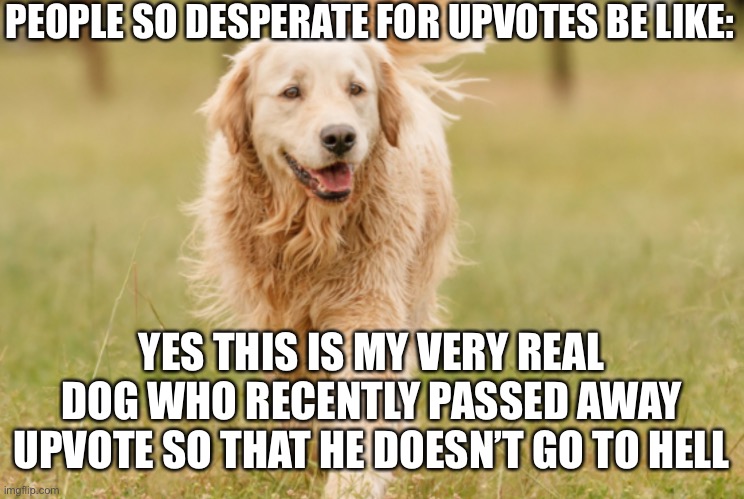 People these days are just so desperate - Imgflip