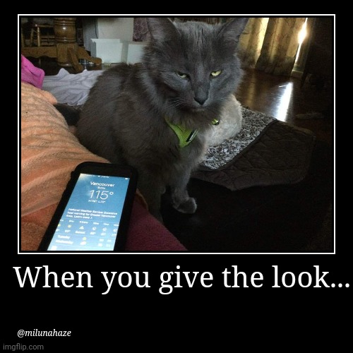 When you give the look... - Imgflip