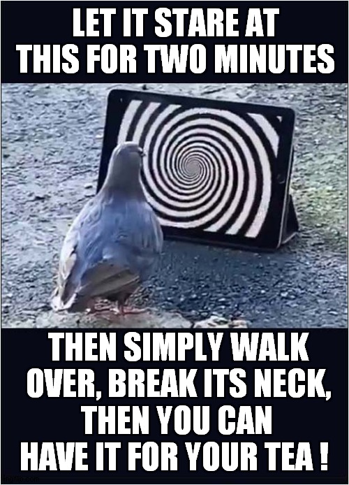 Hypnosis Meme Template