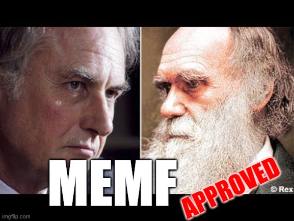 My first MEMF - Imgflip