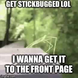 STiCK bUg - Imgflip