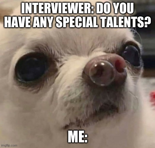 Image tagged in funny memes - Imgflip