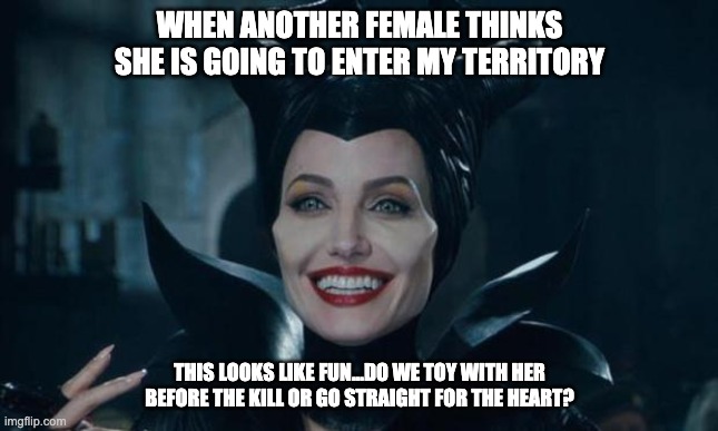 Maleficent - Imgflip