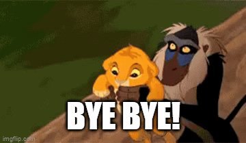 BYE BYE LIOAN FRAIND! - Imgflip