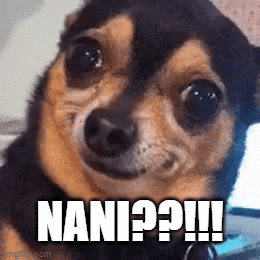 NANI??!!! - Imgflip