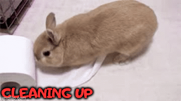 Clean bunny - Imgflip