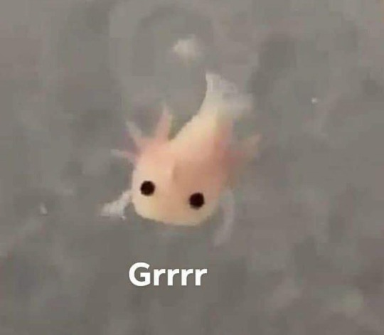 Grrr Blank Template - Imgflip