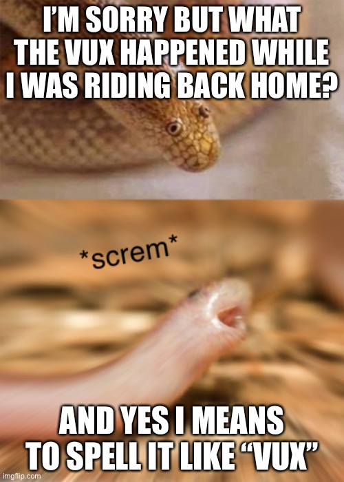 Snek screm - Imgflip