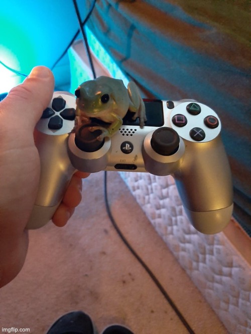 frog gaming - Imgflip