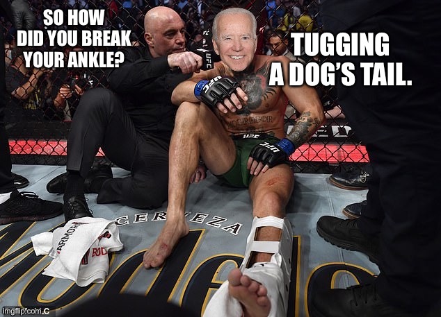 Politics Memes GIFs Imgflip