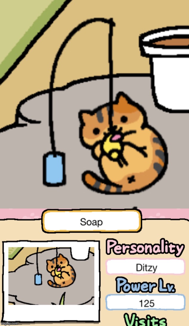 New Cat go brrrrr - Imgflip