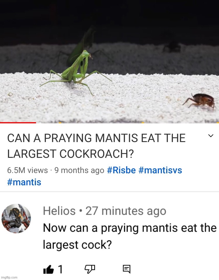 *inhales* *proceed to make a YT channel* *proceed to comment* Haha ...